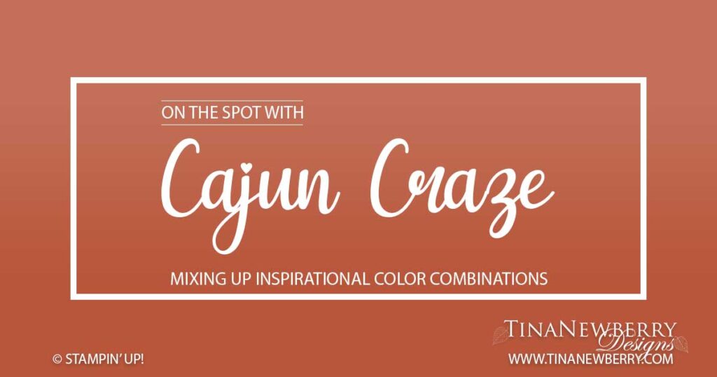 Cajun Craze Color Combinations – Tina Newberry Designs